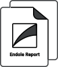 Endole Reports - Help Centre - Endole